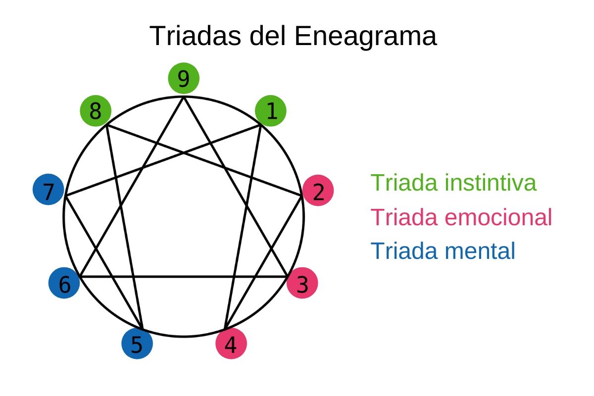 Las Triadas del Eneagrama: Instintiva, Emocional y Mental - Eneagrama